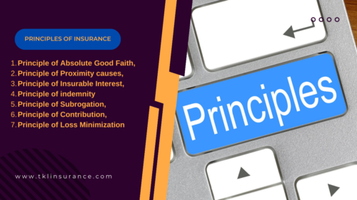 7 Principles of Insurance with Example