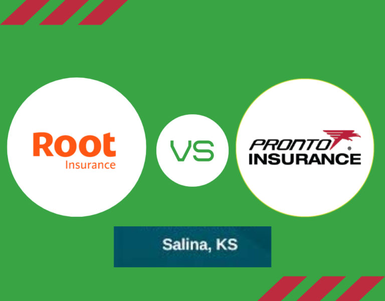 7 Principles of Insurance with Example